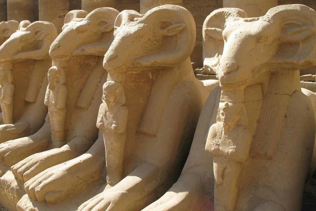 7 cosas que no sabías de la Avenida de las Esfinges | Egipto Exclusivo