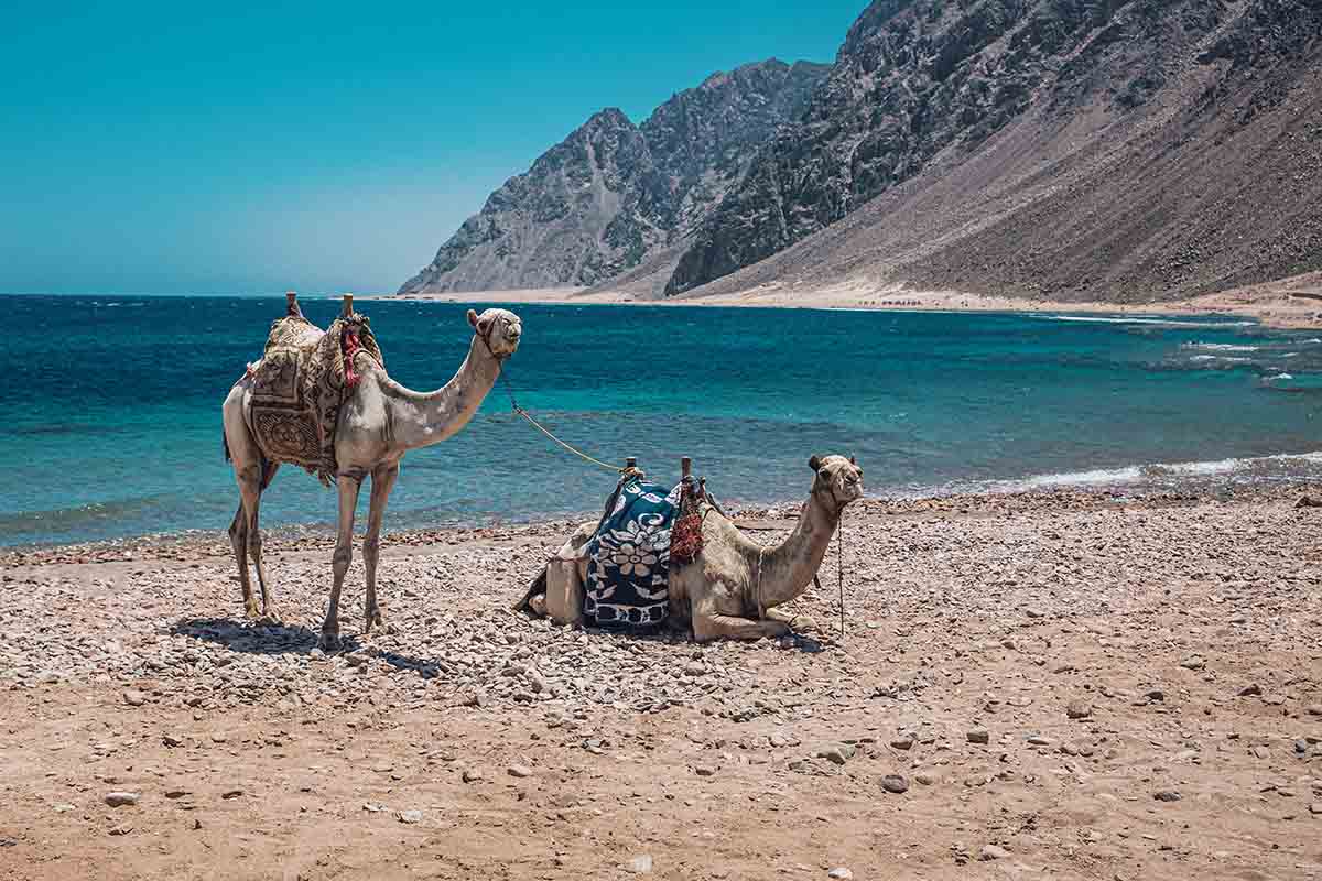 What to do in Dahab: diving and much more | Egipto Exclusivo